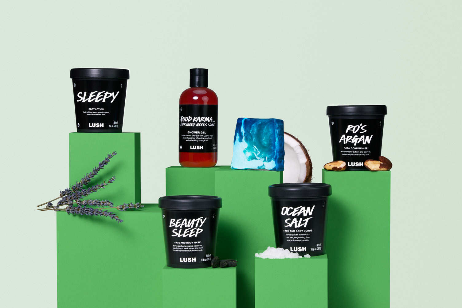 Wild routine product guide – Lush South Africa