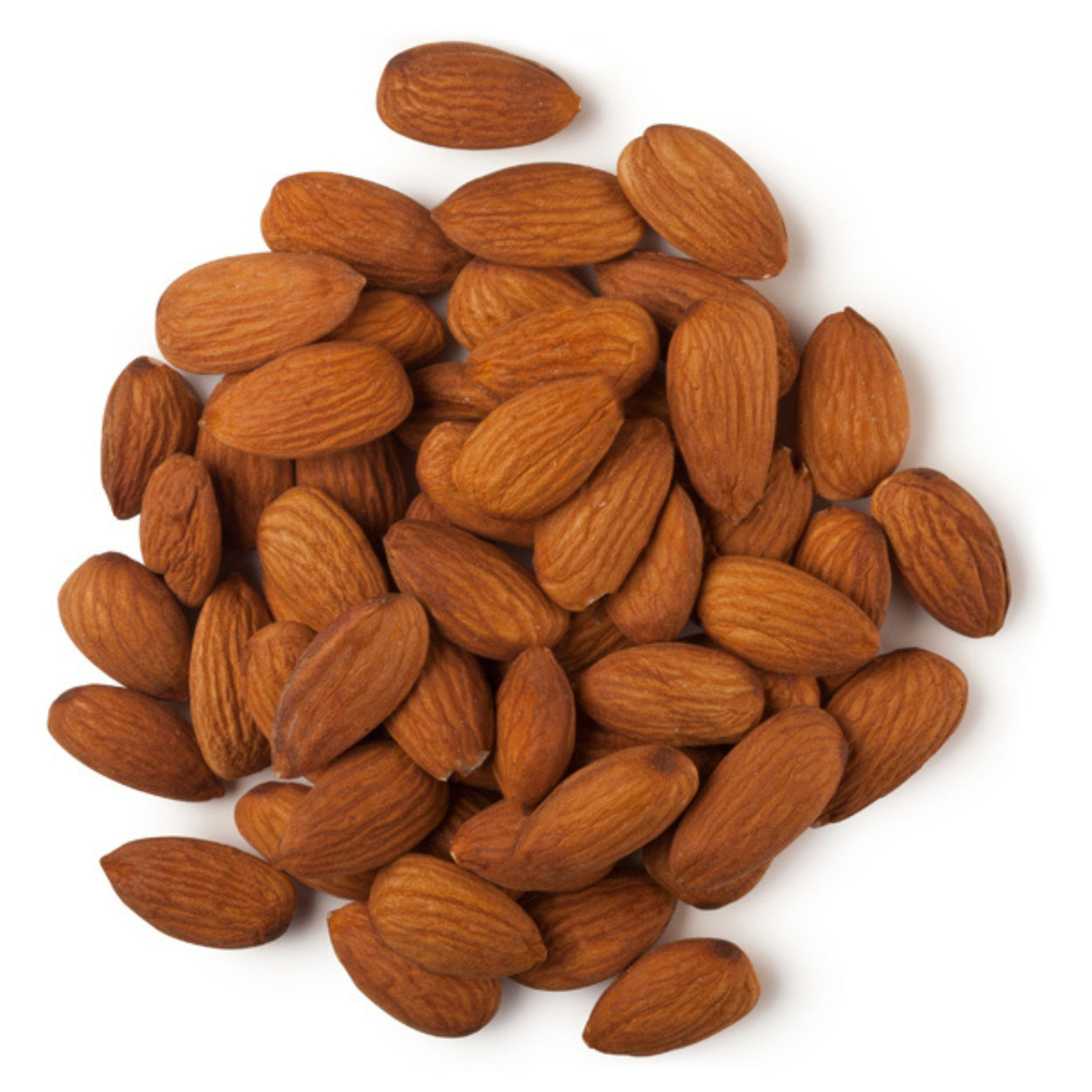 Scrubee Body Butter – Lush South Africa