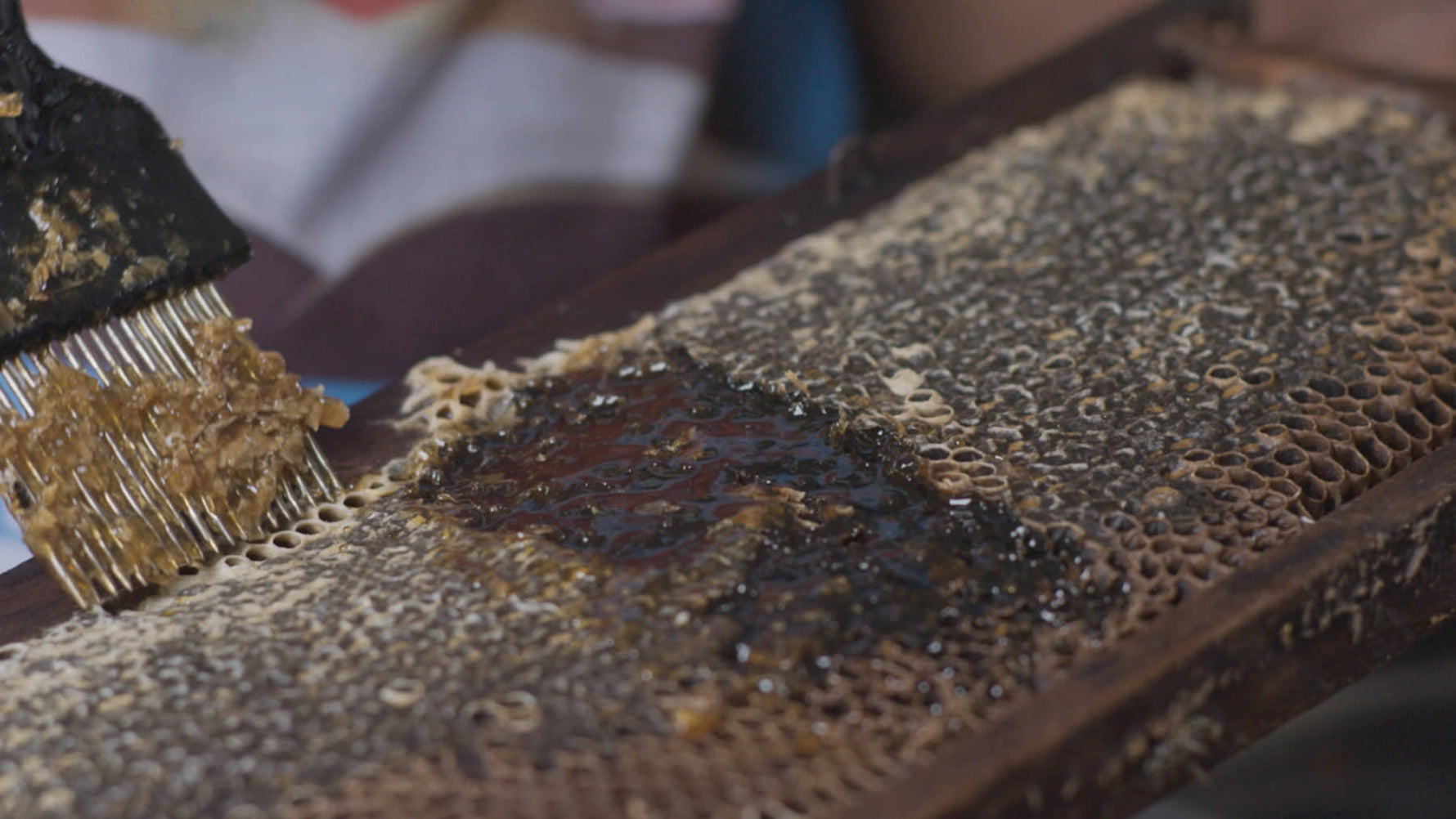 Exfoliating Face Scrubs | Skincare – Lush South Africa