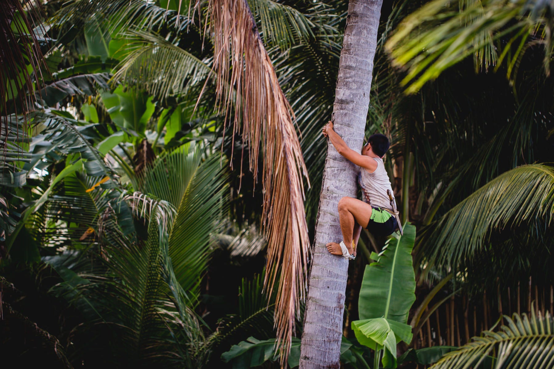 Sticky Dates | Body Spray – Lush South Africa