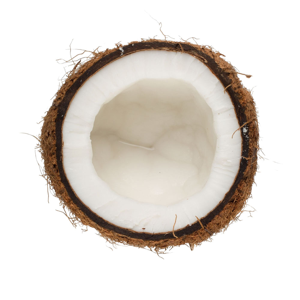 Scrubee Body Butter – Lush South Africa