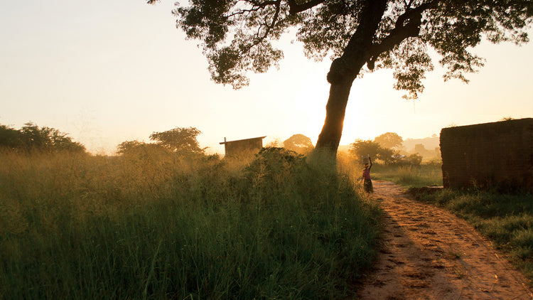 Gifts Under R300 | Christmas Gift Sets – Lush South Africa