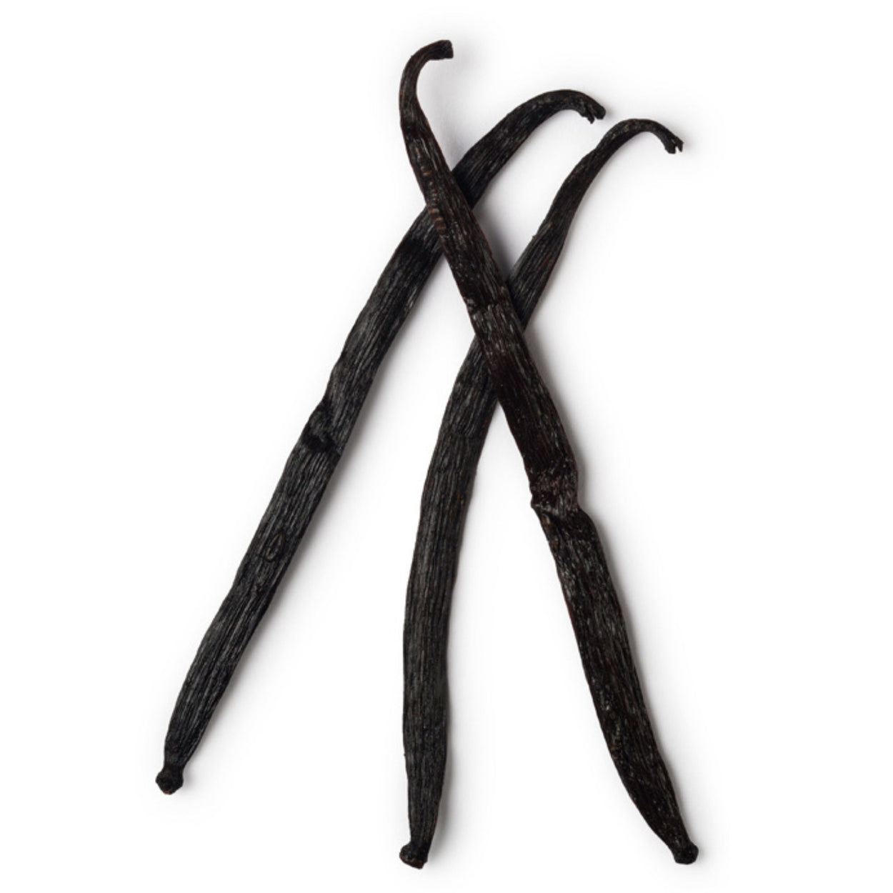 Sticky Dates | Shower Gel – Lush South Africa