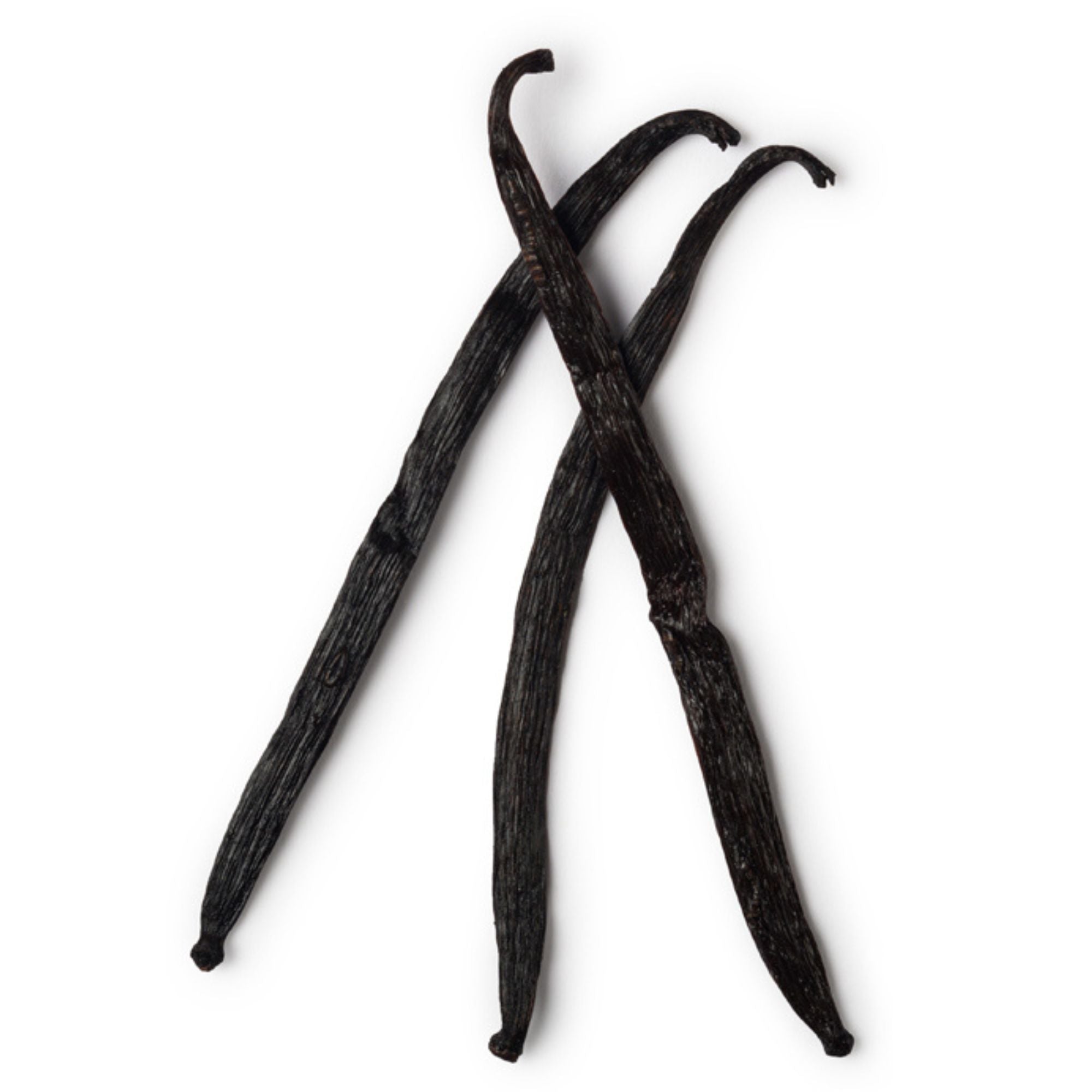 Sticky Dates | Shower Gel – Lush South Africa