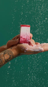Lush Life | Gift – Lush South Africa