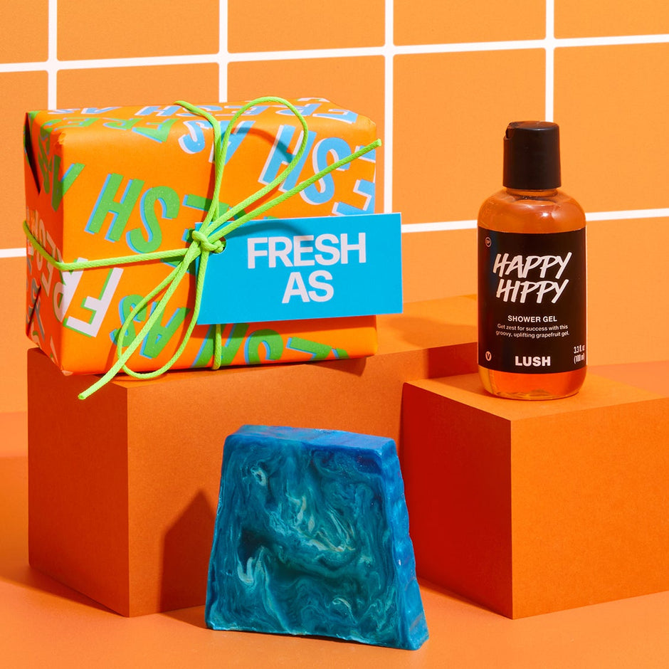 Gifts Under R500 – Lush South Africa