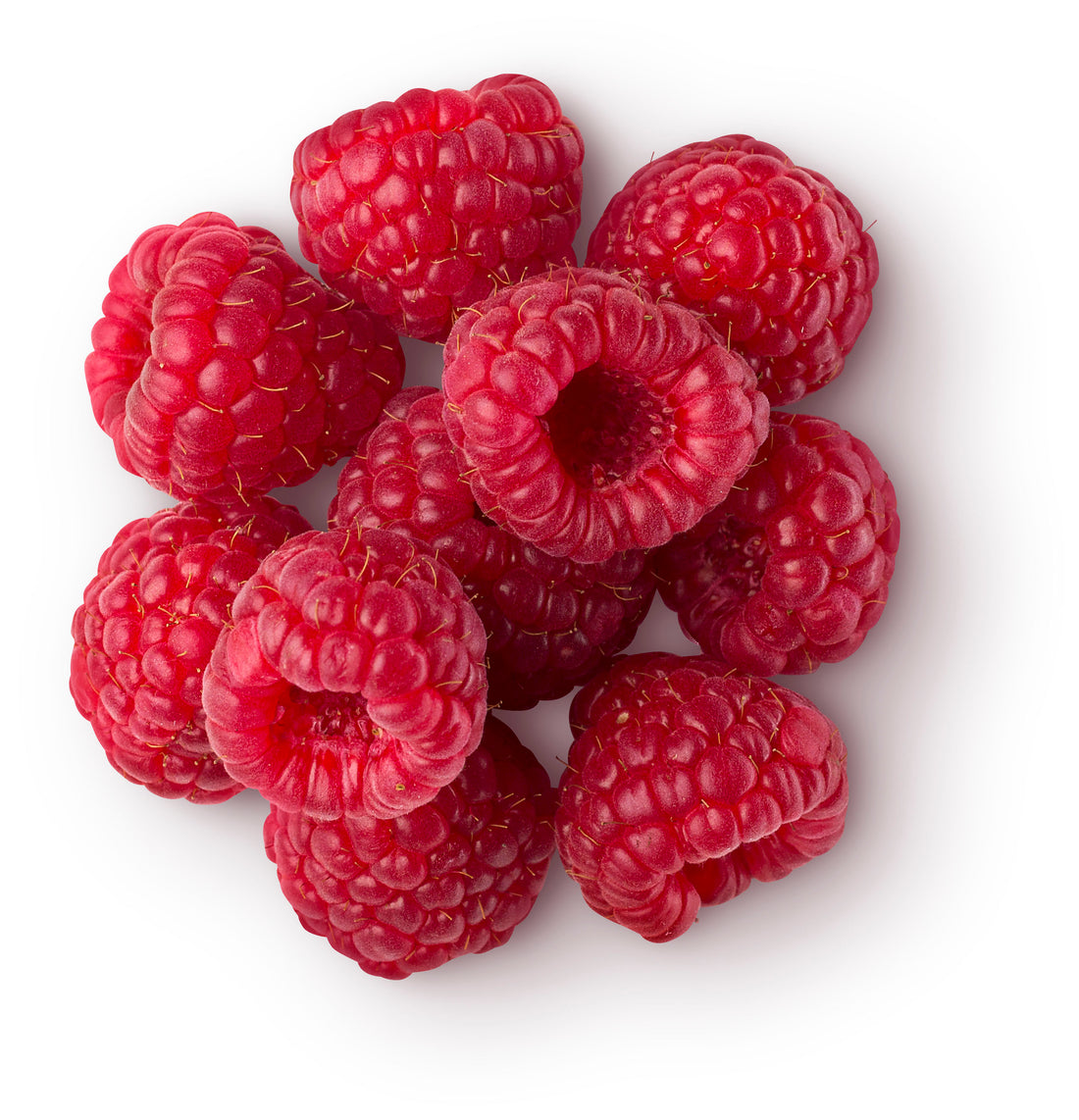 Raspberry Powder – Lush South Africa