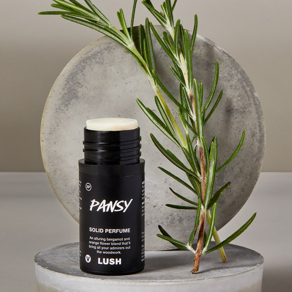 New at Lush – Lush South Africa